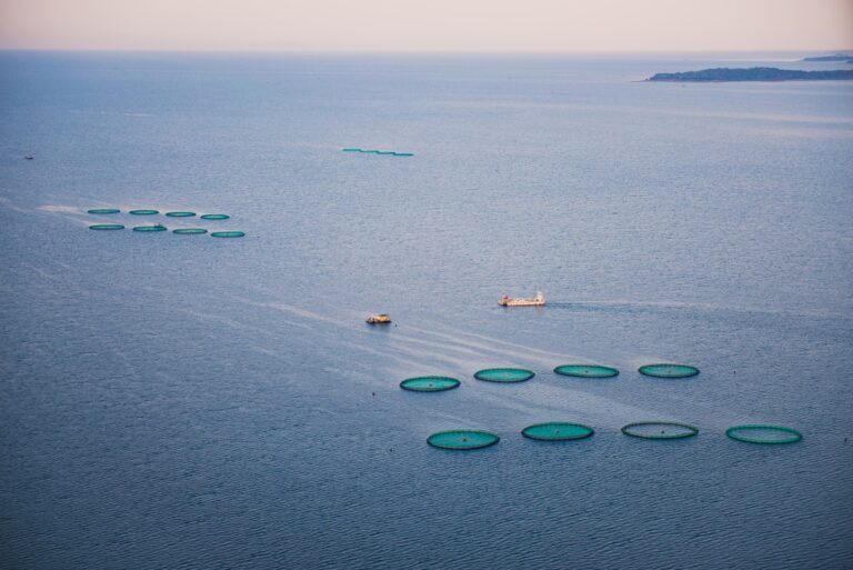 Yalelo About Us – Yalelo Zambia