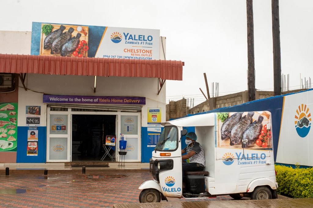 Yalelo Zambia – Zambia's #1 Fish!