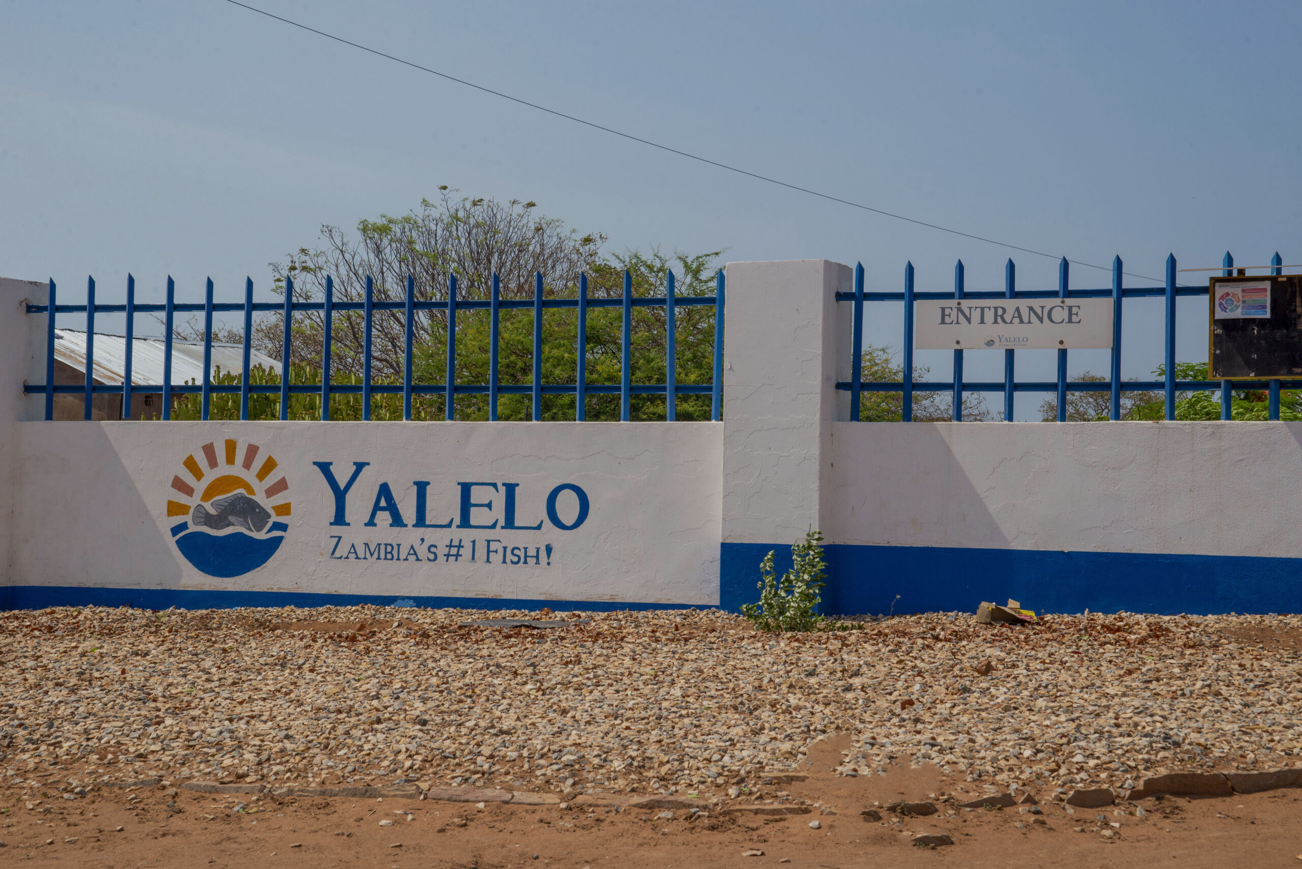 Yalelo About Us – Yalelo Zambia