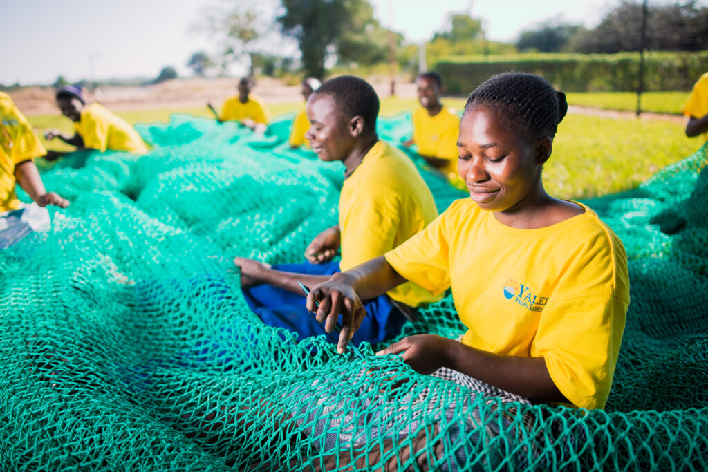 Yalelo About Us – Yalelo Zambia