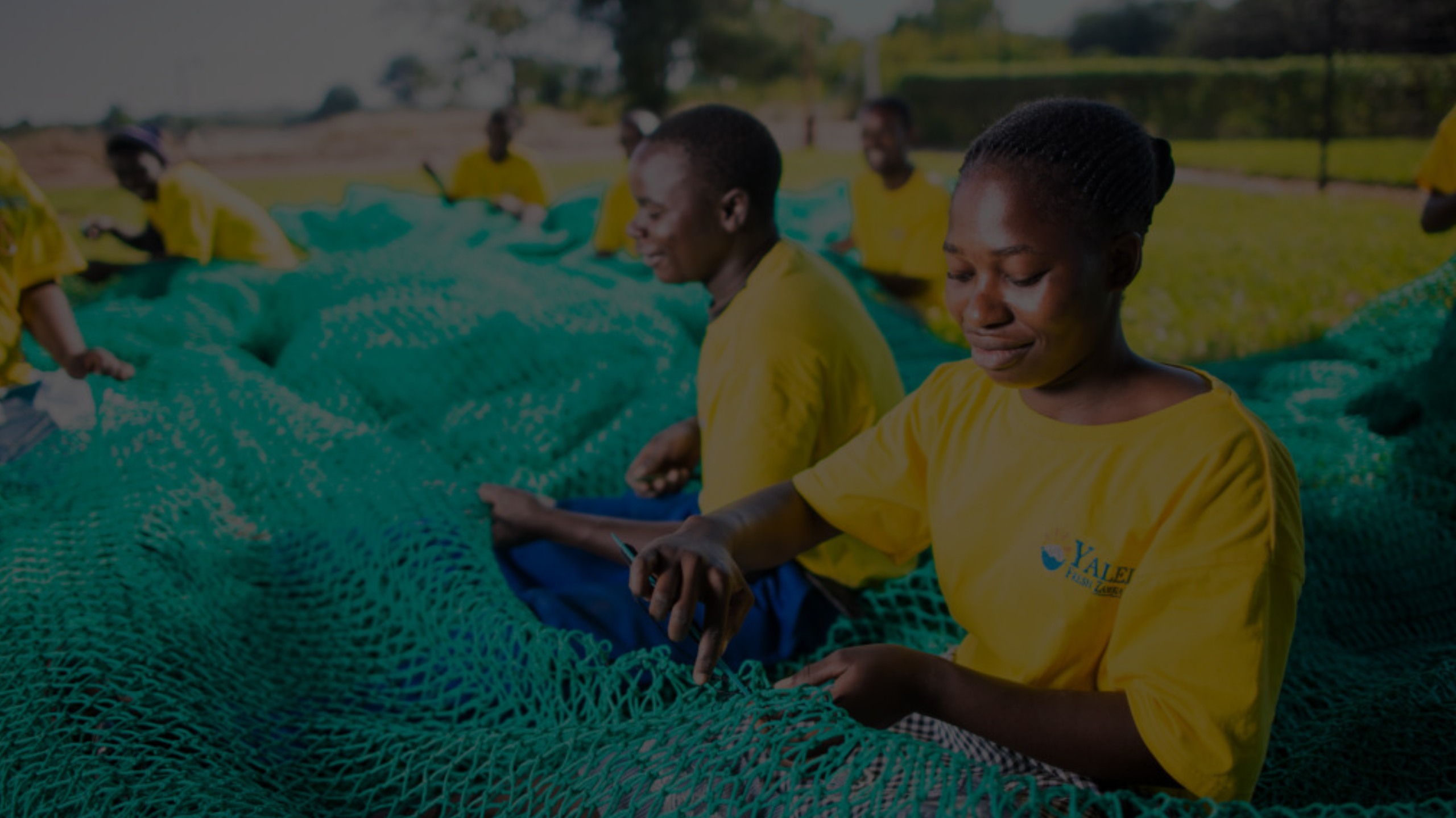 comm_yalelo – Yalelo Zambia