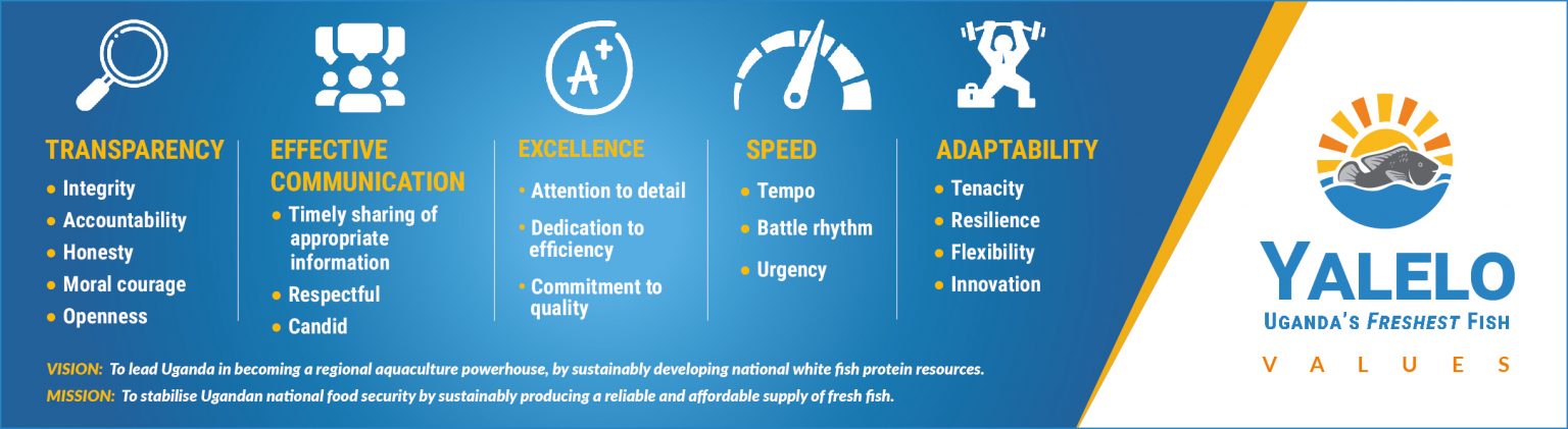 Careers – Yalelo Zambia